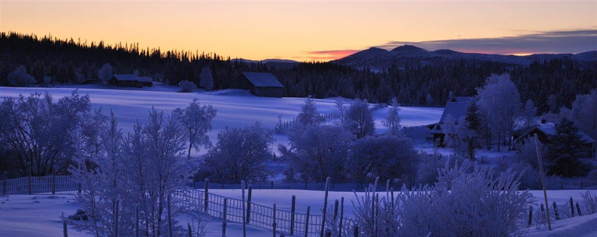 Reviderte vedtekter for landbruksfondet - Nord-Fron kommune